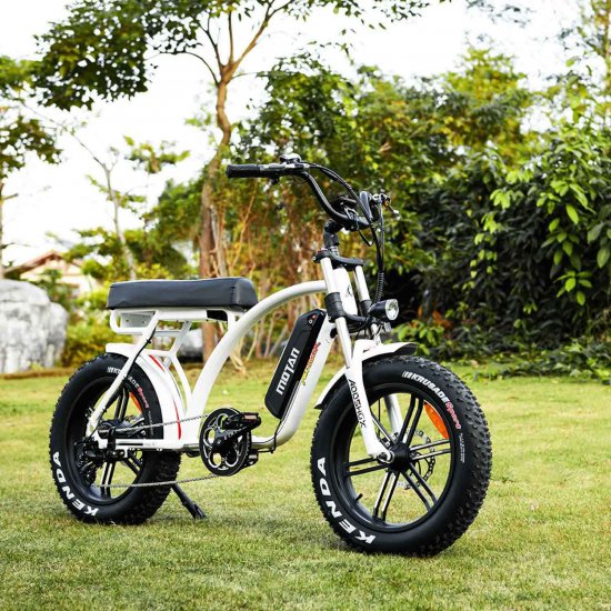 20 Electric Cruiser Bike for Adult 750W 14Ah 48V E-bike Addmotor M-60 ...